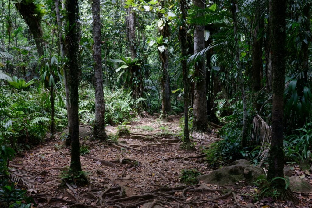 Discover Guadeloupe: Exciting Facts for Kids! Discover Guadeloupe: Exciting Facts for Kids!