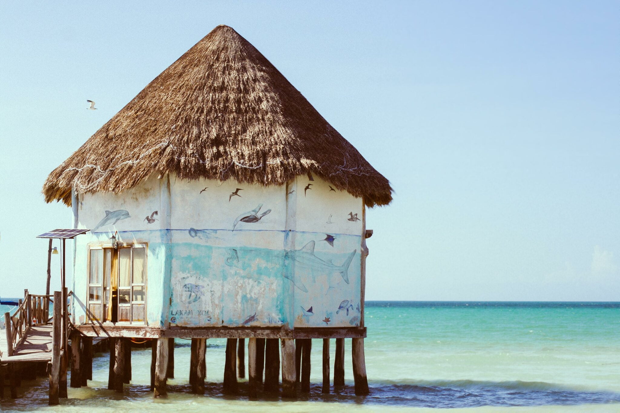 Unlocking the Power: Understanding Turquoise Color Psychology