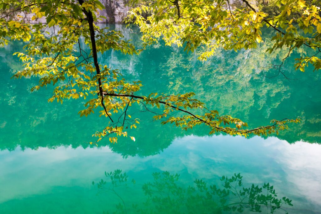 The Enchanting Turquoise: Exploring the Multicultural Symbolism of this ...