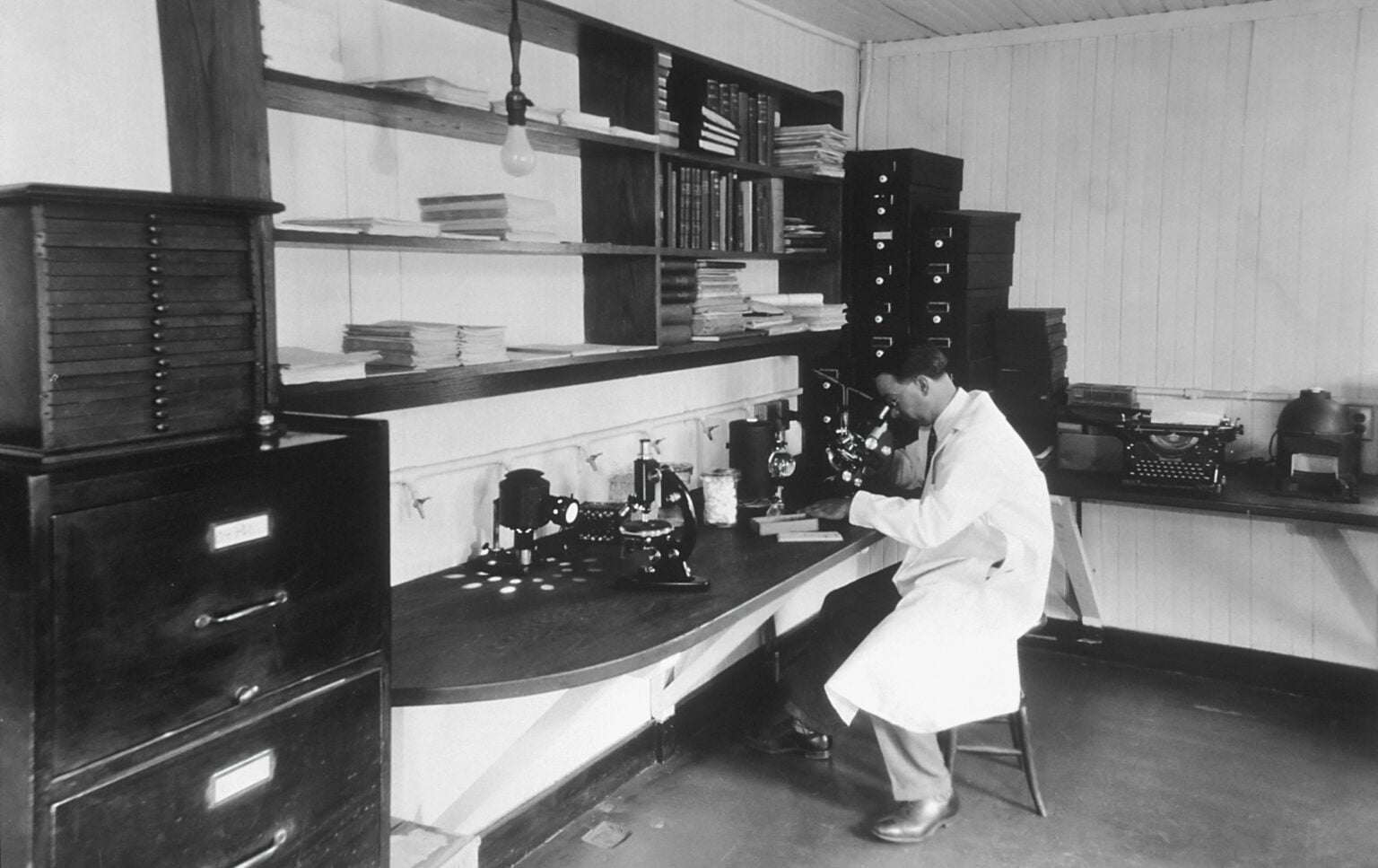 Uncovering the Fascinating World of Microscopes: 7 Intriguing Facts