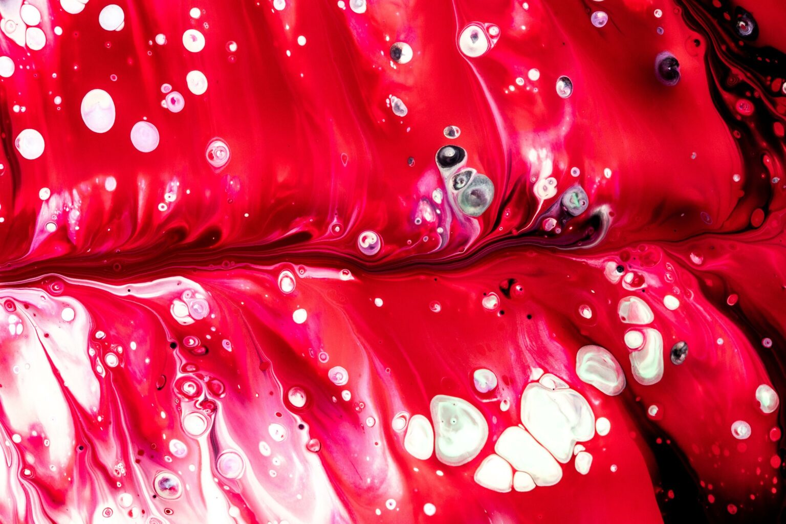 Unveiling The Essential Facts About Partial Dentures Types Care And Maintenance