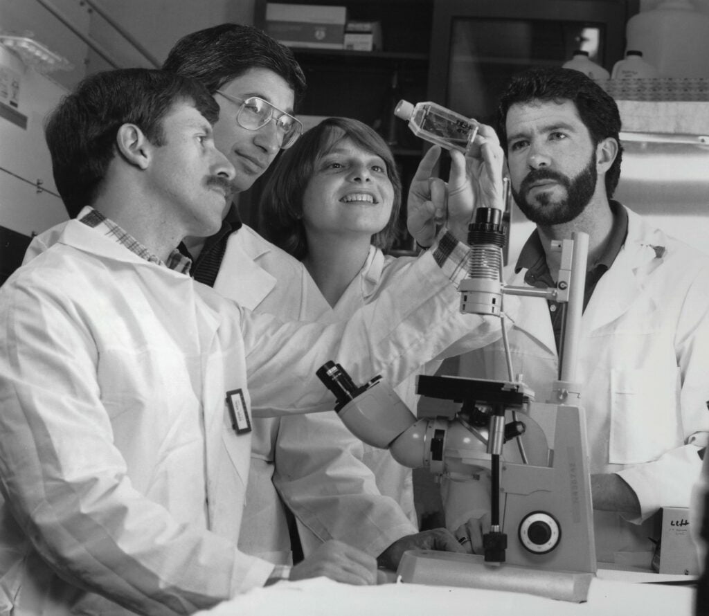 Unveiling Fascinating Facts: The Compound Microscope's Evolution and ...