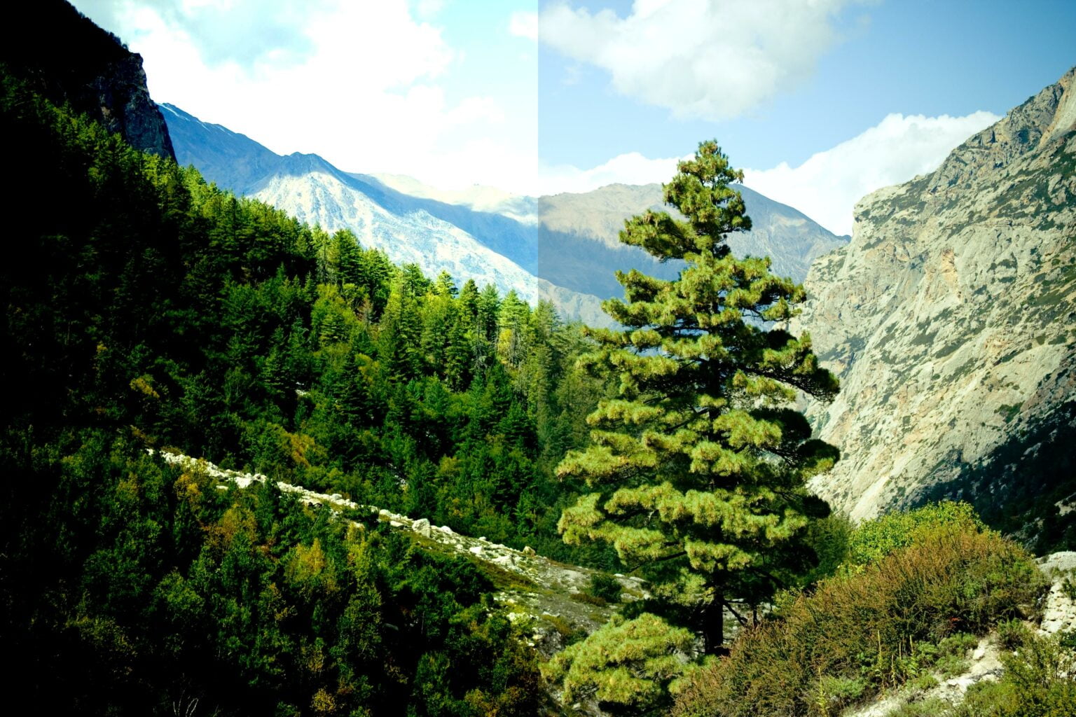 Unveiling Cinema's Legendary Daggers: Exploring the Famous Blades That ...