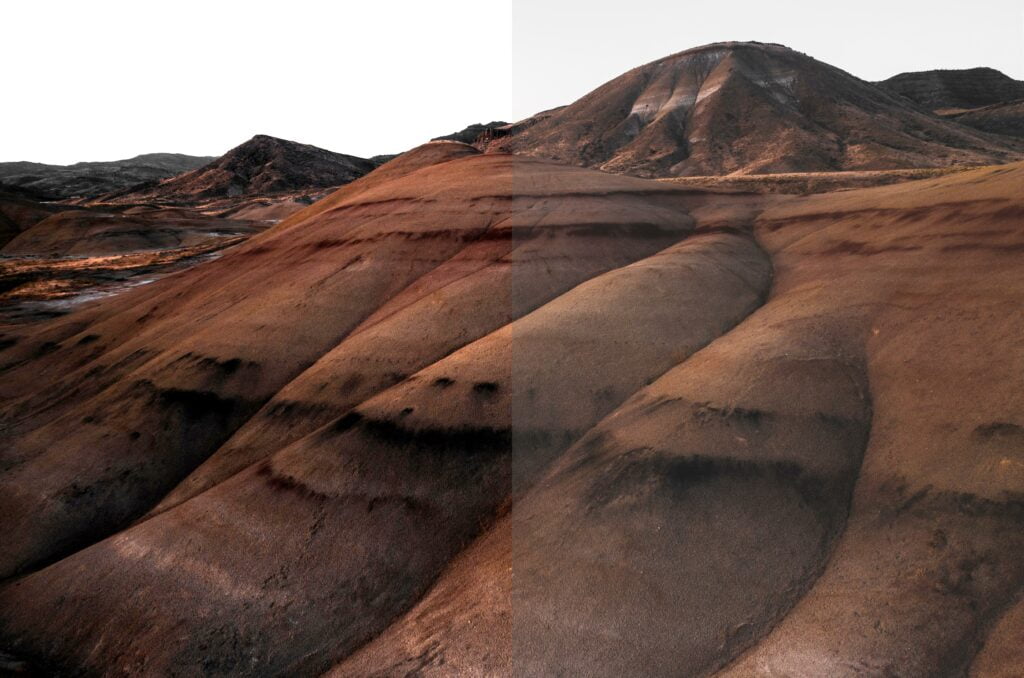 The Art of Fossil Preservation: Techniques Unveiled