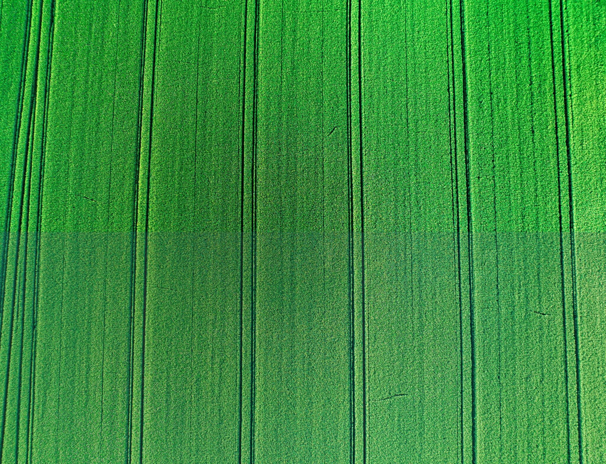 Fascinating Meth Addiction Facts: Unveiling Lesser-known Truths