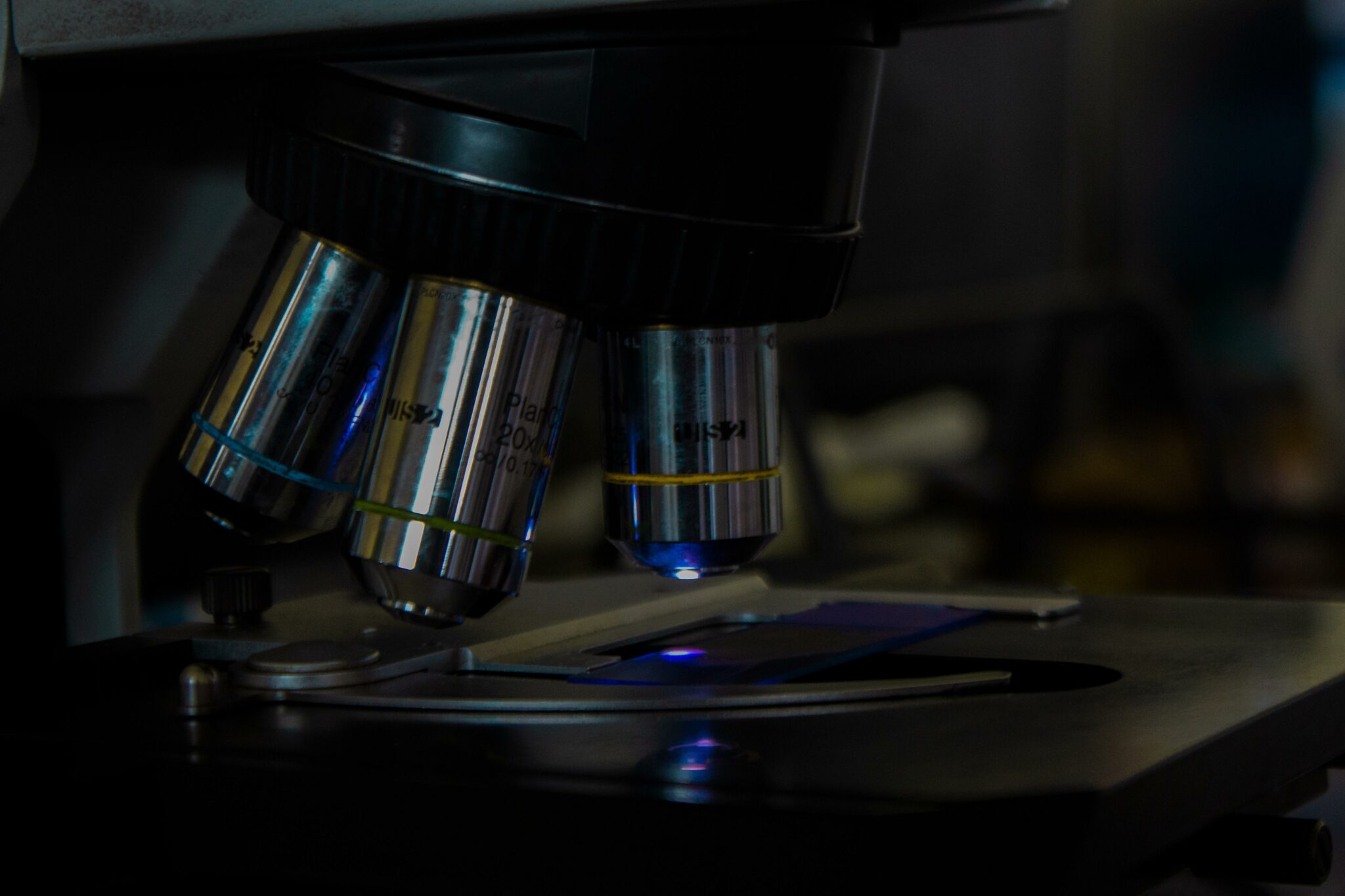 Discovering Microscopic Wonders: 10 Intriguing Fun Facts