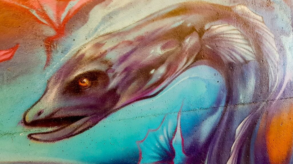 Discover the Captivating Glass Squid: Fun Facts Unveiled!