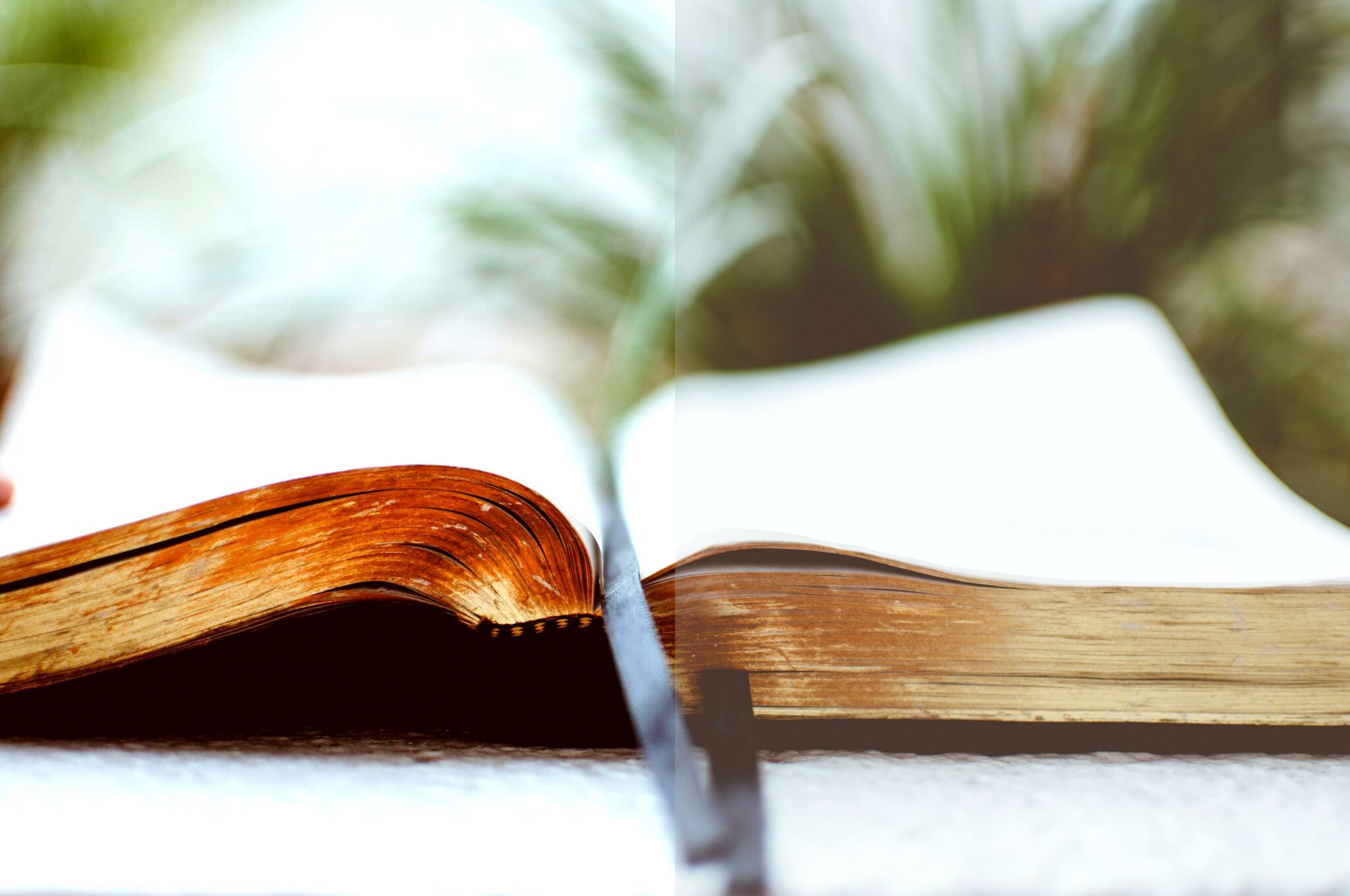 The Remarkable Achievements of the Han Dynasty's Golden Age: A Glimpse ...