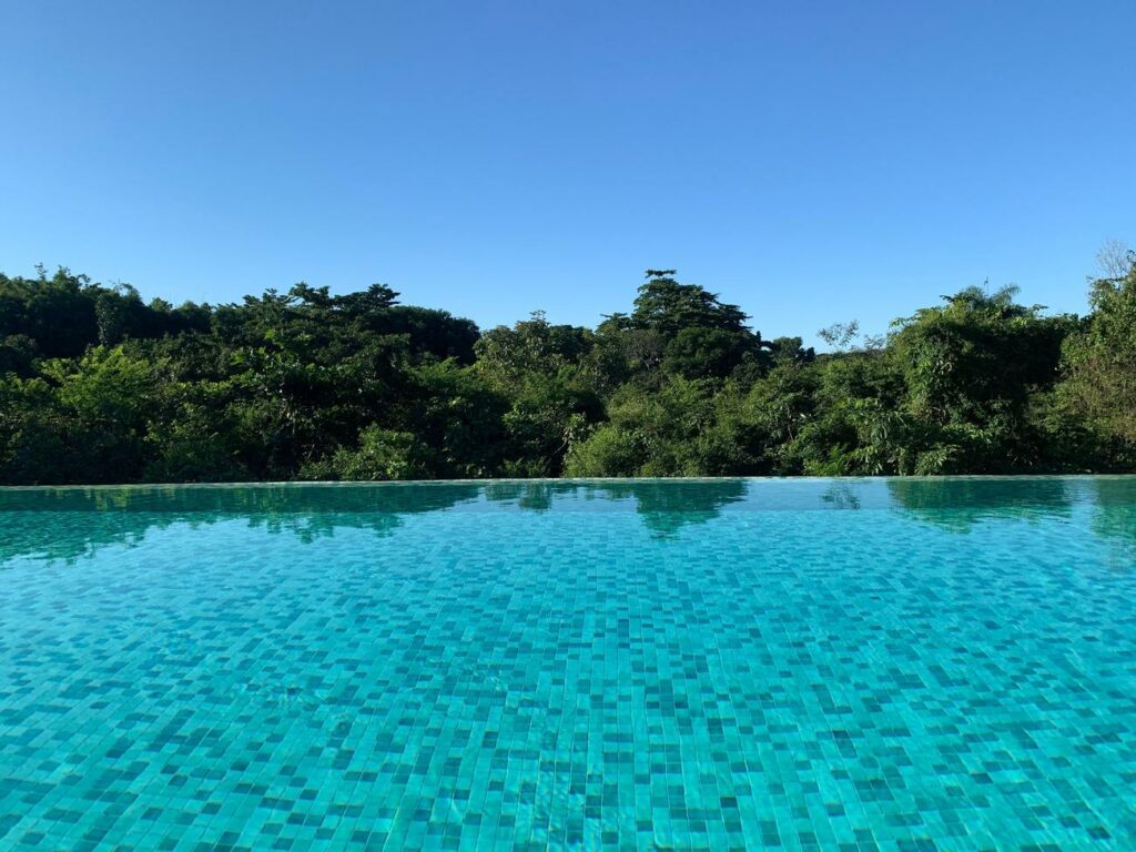 Dive into Intriguing Swimming Pool Facts