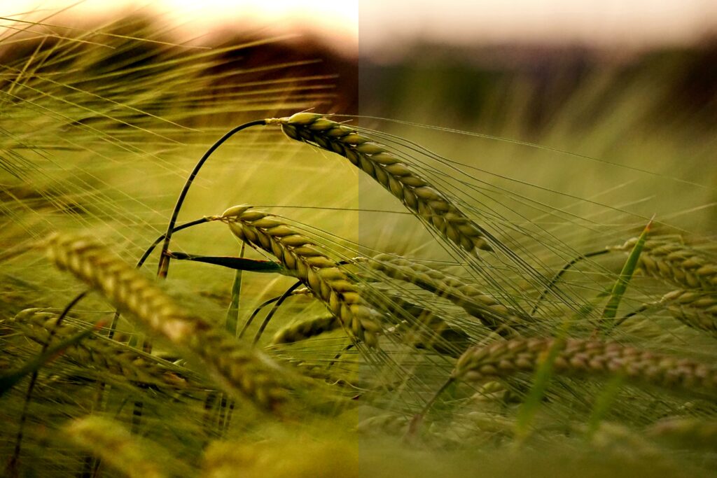 The Surprising Impacts of Methamphetamine: Unveiling the Untold Story