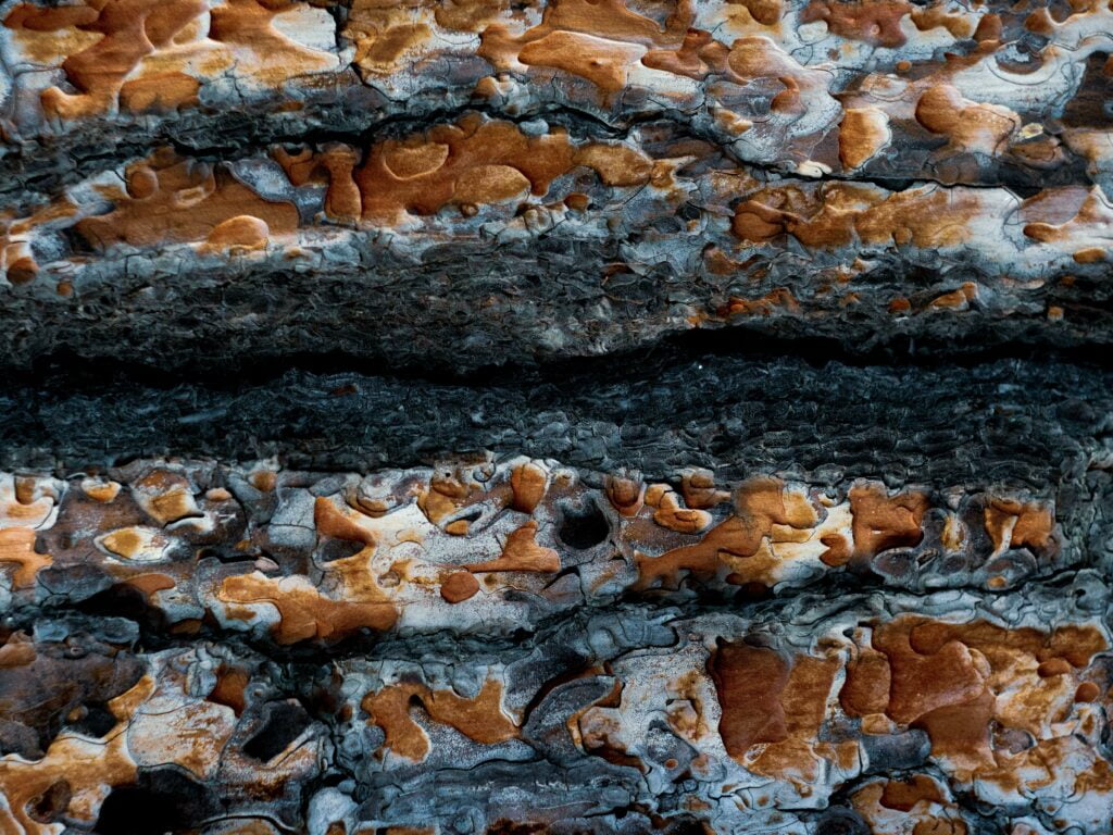 Revolutionary Atrophic Scar Treatments: Discover Effective Solutions