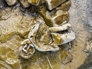 10 Fascinating Slime Facts for Kids