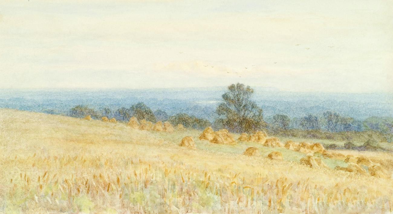 Exploring the Evolving World of Art and Culture