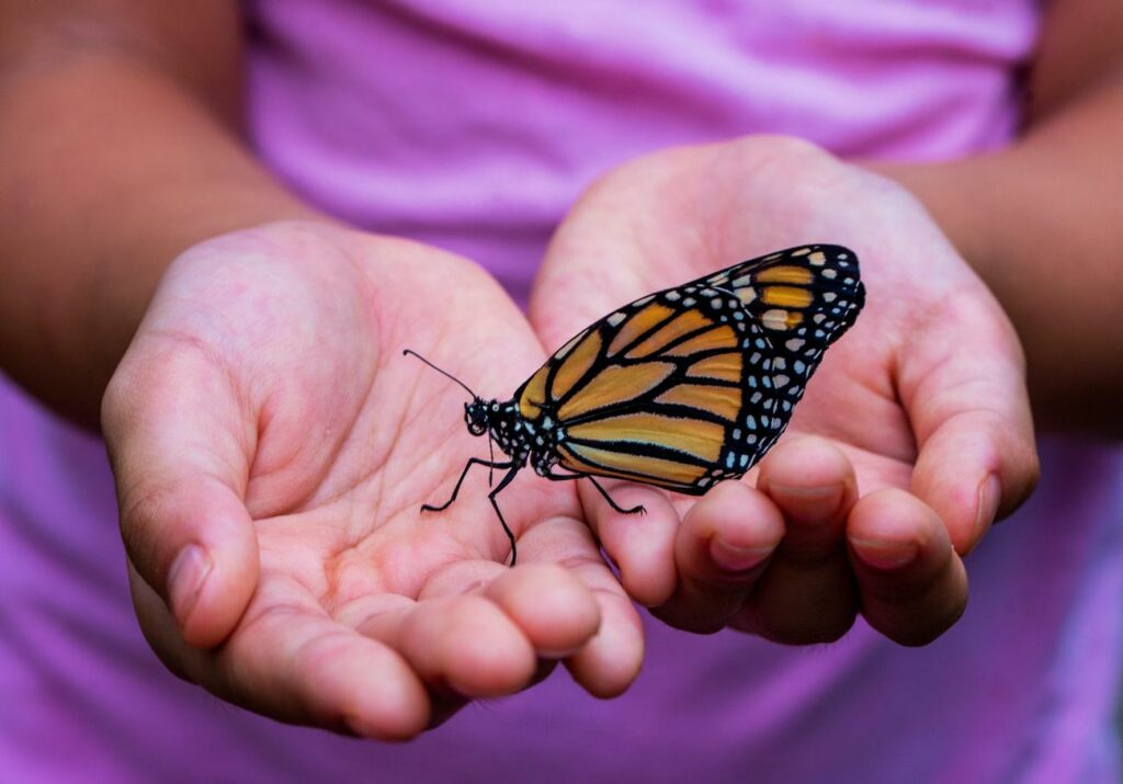 Discover Fascinating Facts About Our Hands: Anatomy, Sensory Perception ...