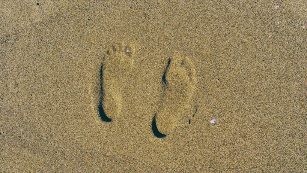 Fascinating Facts About Feet: Unveiling the Wonders of Podiatry