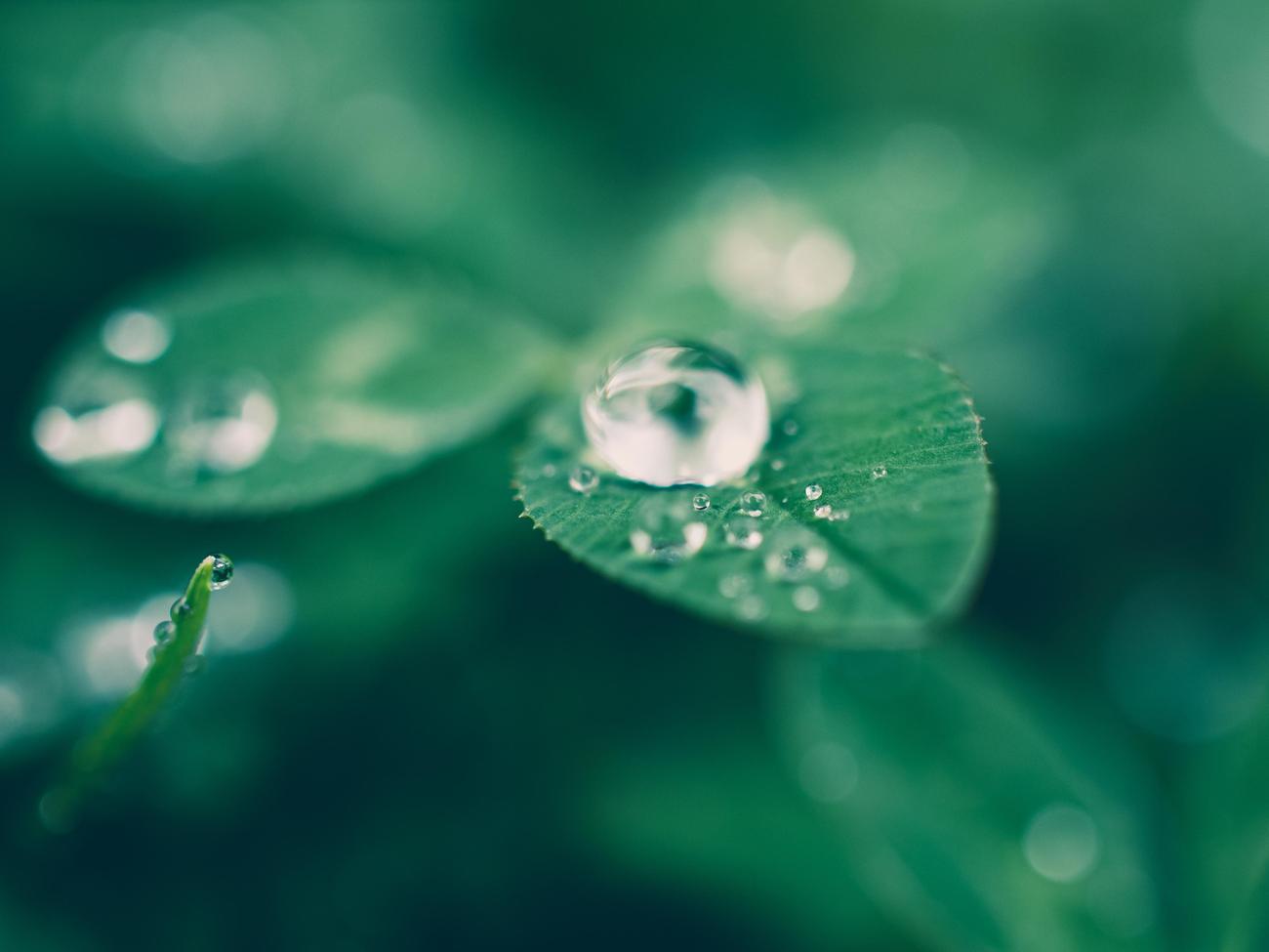 Understanding Human Saliva Production: Expert Insights on Daily Rates