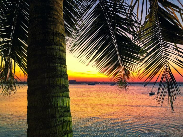 The Linguistic Intricacies: Uncovering the Virgin Islands Language