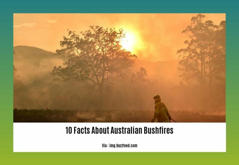 Unveiling the Devastation: 10 Facts About Australian Bushfires