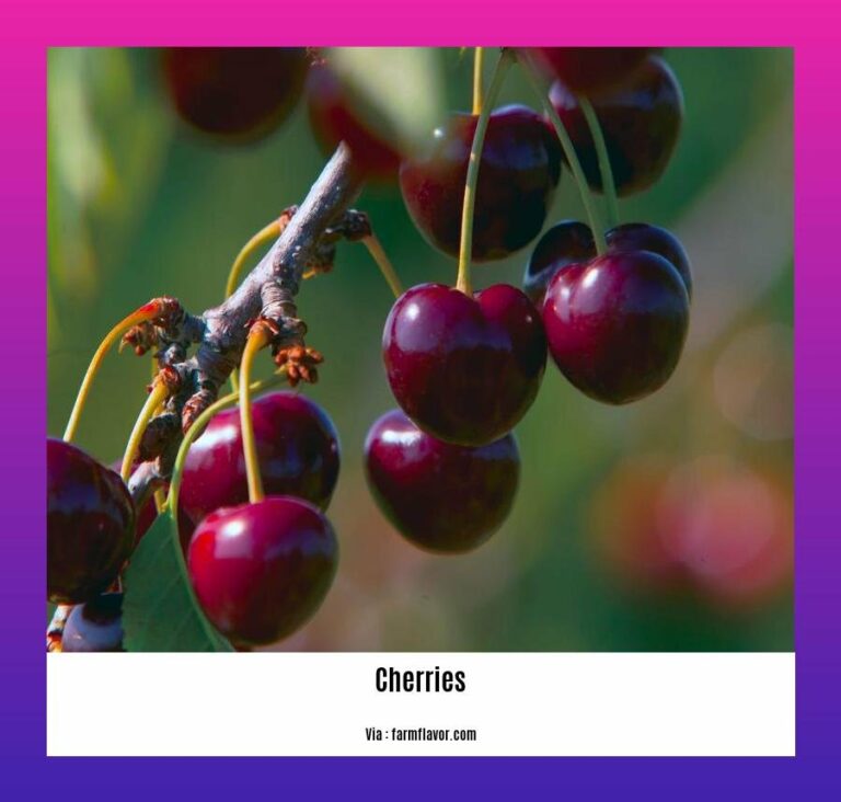 Discover the Remarkable: 10 Health Benefits of Cherries Revealed