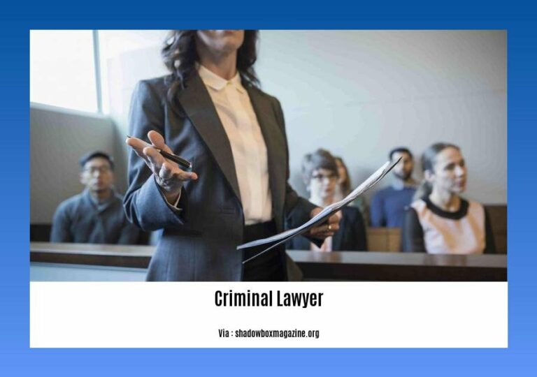 The Best Criminal Lawyer in South Africa: Leading the Way in Criminal ...