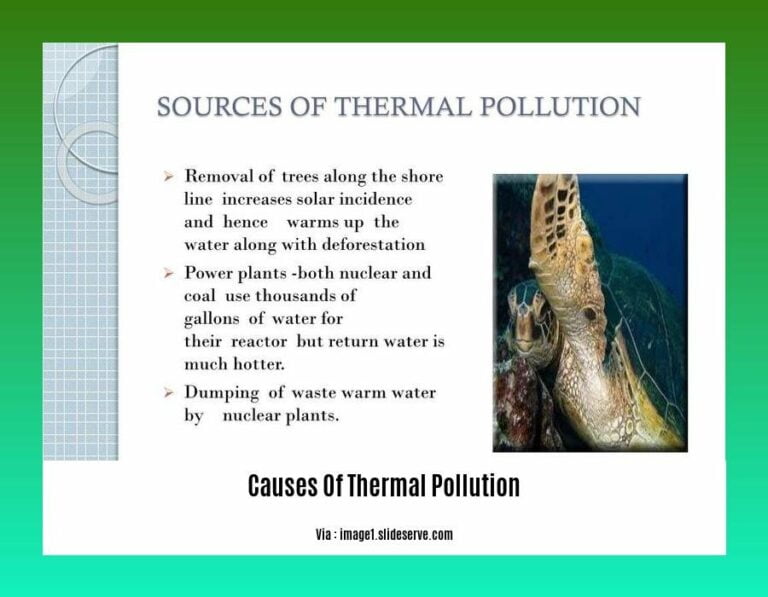 Causes of Thermal Pollution in Points: Understanding the Impact of ...