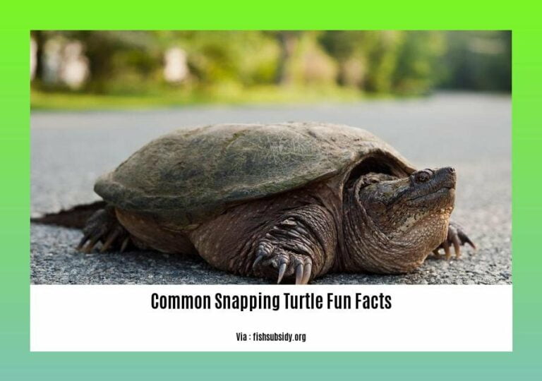 Unveiling the Wonders: 10 Common Snapping Turtle Fun Facts to Delight ...