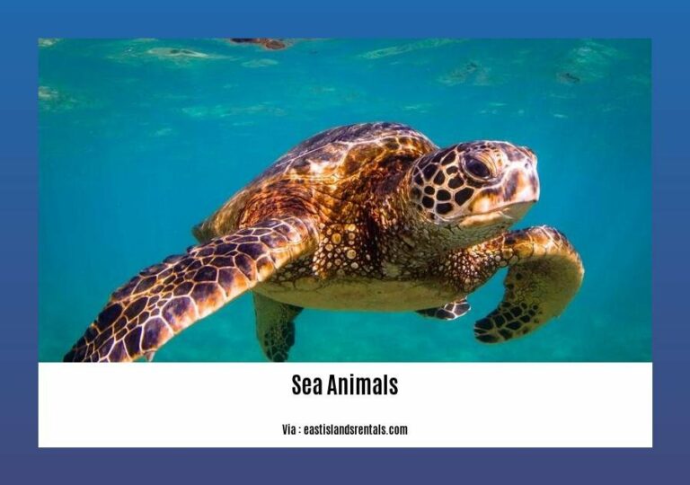 Exploring the Depths: Cool Facts About Sea Animals