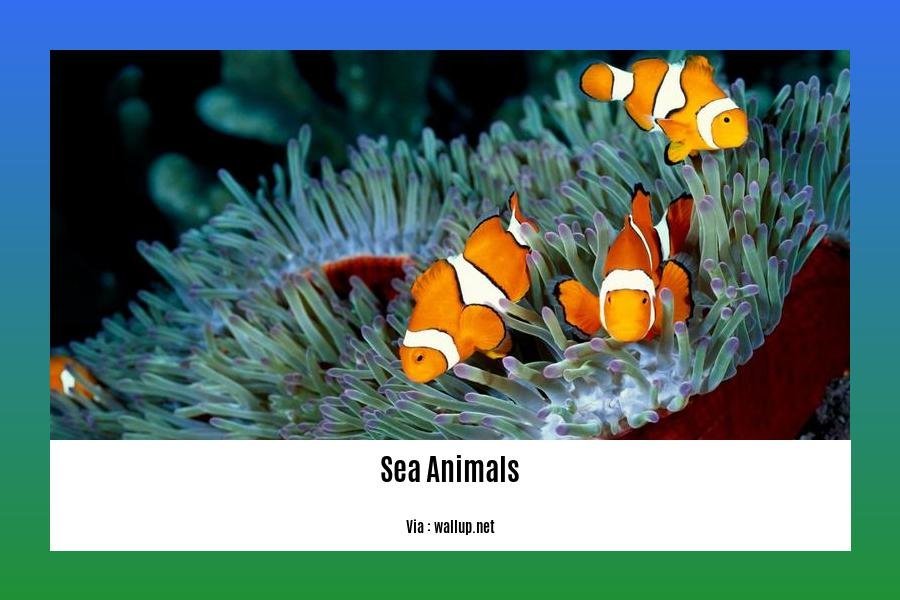 Crazy Facts About Sea Animals: Unveiling the Astonishing Wonders of the ...