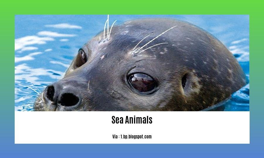 Crazy Facts About Sea Animals: Unveiling the Astonishing Wonders of the ...