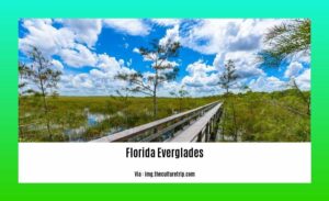 [Facts about Florida Everglades]: Unveiling the Wonders of a Unique ...