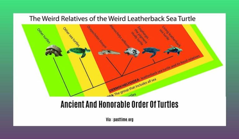 Unearthing the Secrets of the Ancient and Honorable Order of Turtles