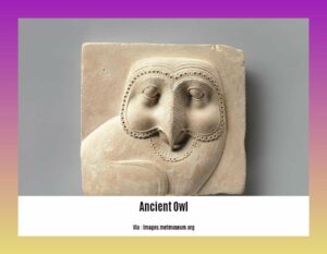 Unraveling the Enigmatic World of Ancient Owls: A Journey into the ...