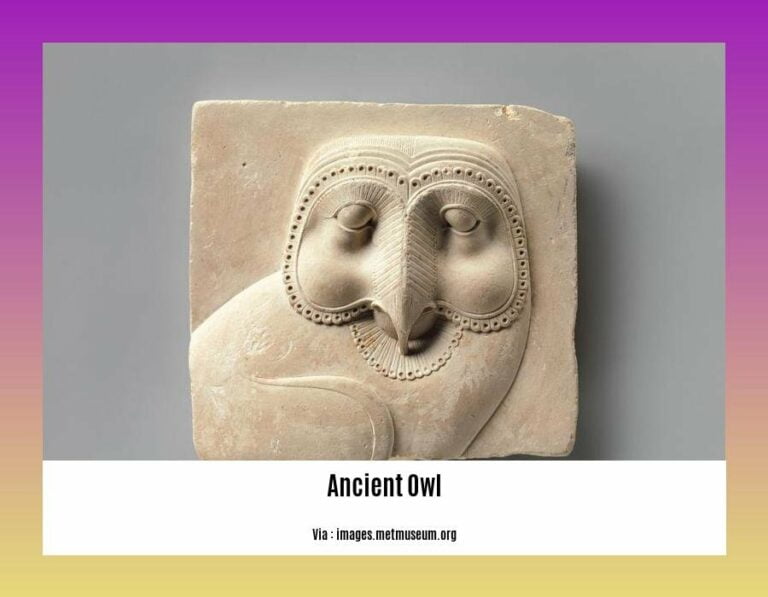 Unraveling the Enigmatic World of Ancient Owls: A Journey into the ...