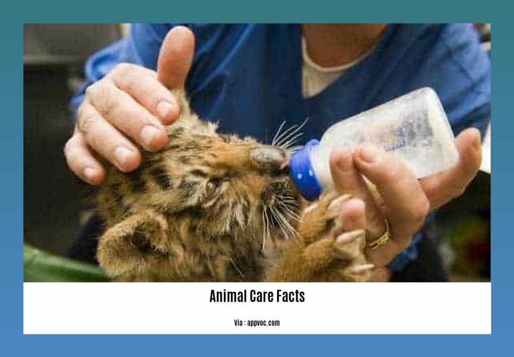 Unveiling the Truth: Animal Care Facts Every Pet Owner Should Know