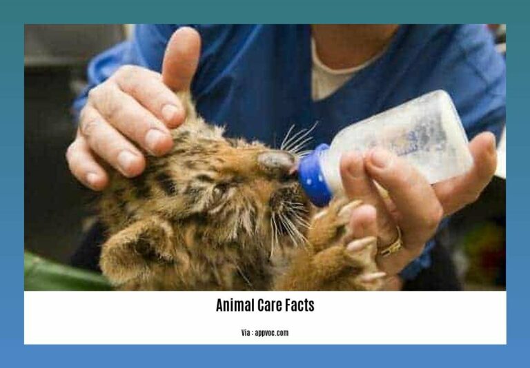 Unveiling the Truth: Animal Care Facts Every Pet Owner Should Know