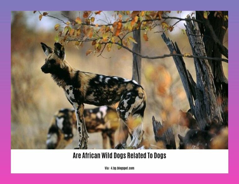 Exploring the Genetic and Behavioral Connections: Are African Wild Dogs ...
