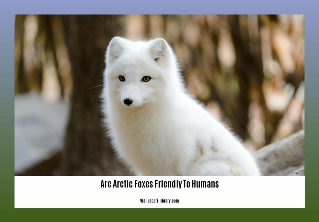 Are Arctic Foxes Friendly to Humans? Unveiling the Complexities of ...