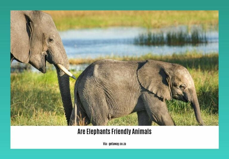 Majestic Marvels: 5 Fascinating Facts About African Bush Elephants