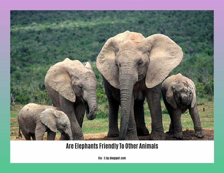 Majestic Marvels: 5 Fascinating Facts About African Bush Elephants