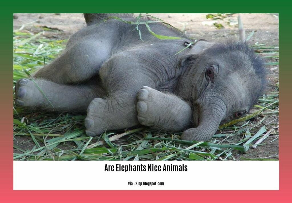 Are Elephants Nice Animals? Exploring the Nurturing and Empathetic ...