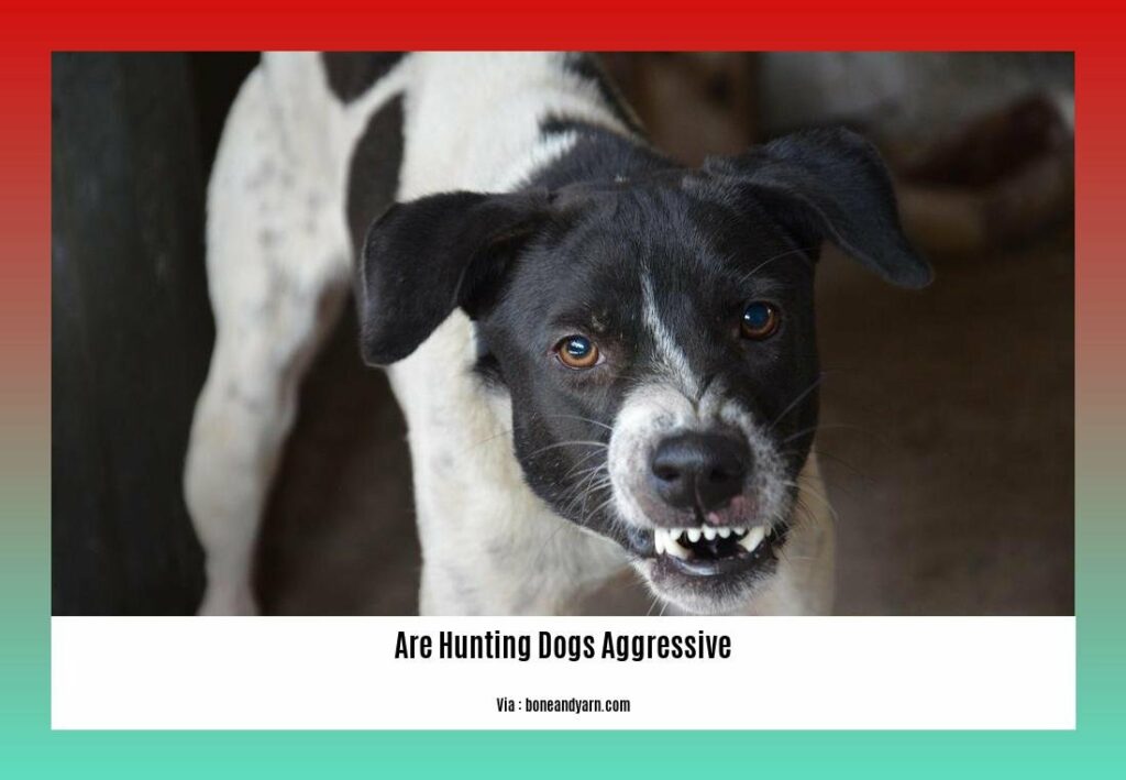 Are Hunting Dogs Aggressive? Debunking Myths and Understanding Their ...