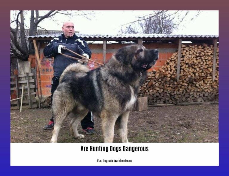 Exploring the Potential Risks: Are Hunting Dogs Dangerous?