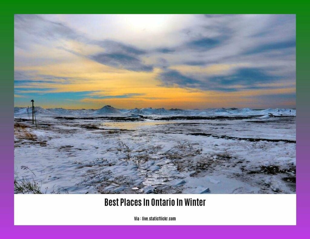 Discover the Best Places in Ontario for Memorable Winter Adventures