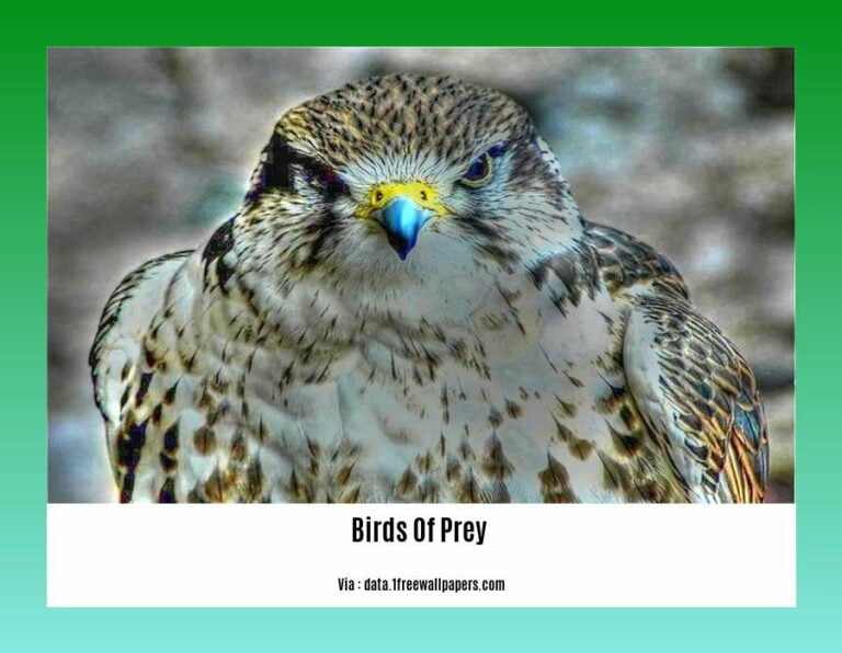 Fascinating Birds of Prey Facts: Unveiling the Majestic Hunters of the ...