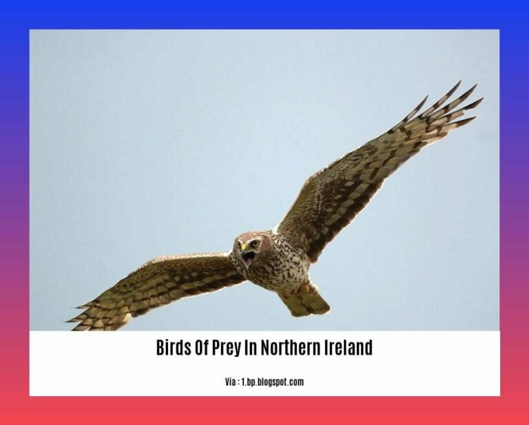 Majestic Birds of Prey in Northern Ireland: Insights from an ...