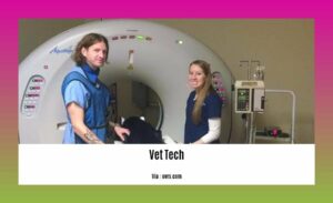 Can a Vet Tech Become a Vet: Transitioning Careers in Veterinary Medicine