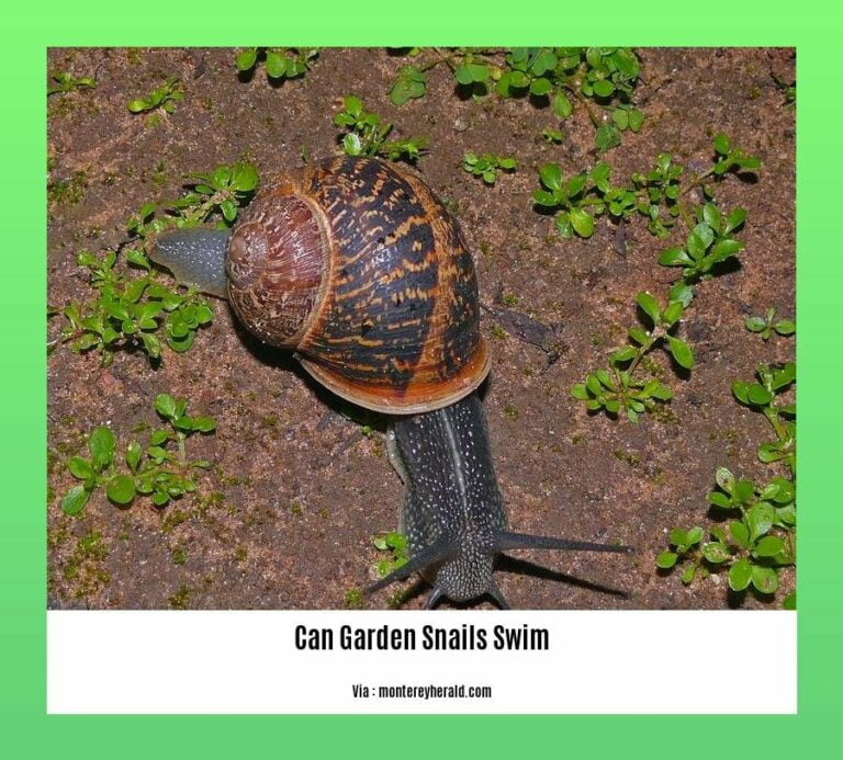 Can Garden Snails Swim? A Natural Exploration