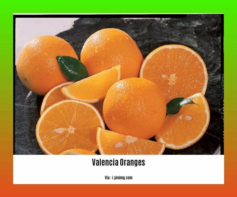 Can You Eat Valencia Oranges? Exploring the Nutritional Benefits and ...