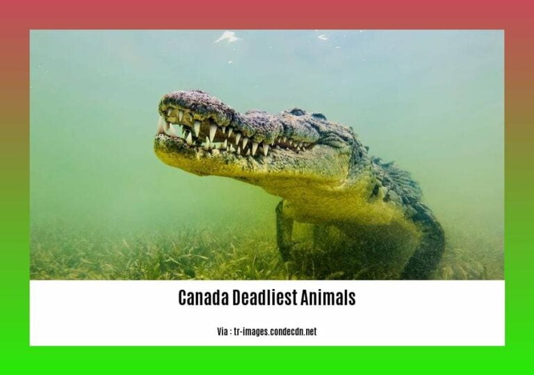 Unmasking the Dangers: In-Depth Exploration of Canada's Deadliest Animals