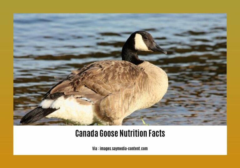 Understanding Canada Goose Nutrition Facts: Insights from a Wildlife ...